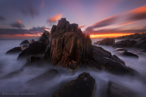 Scarab by Dylan Toh & Marianne Lim | 500px