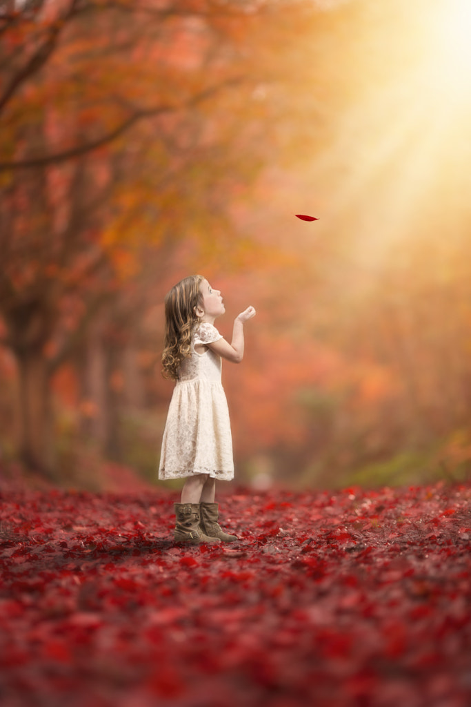 Beauty of Nature by Rob Buttle / 500px