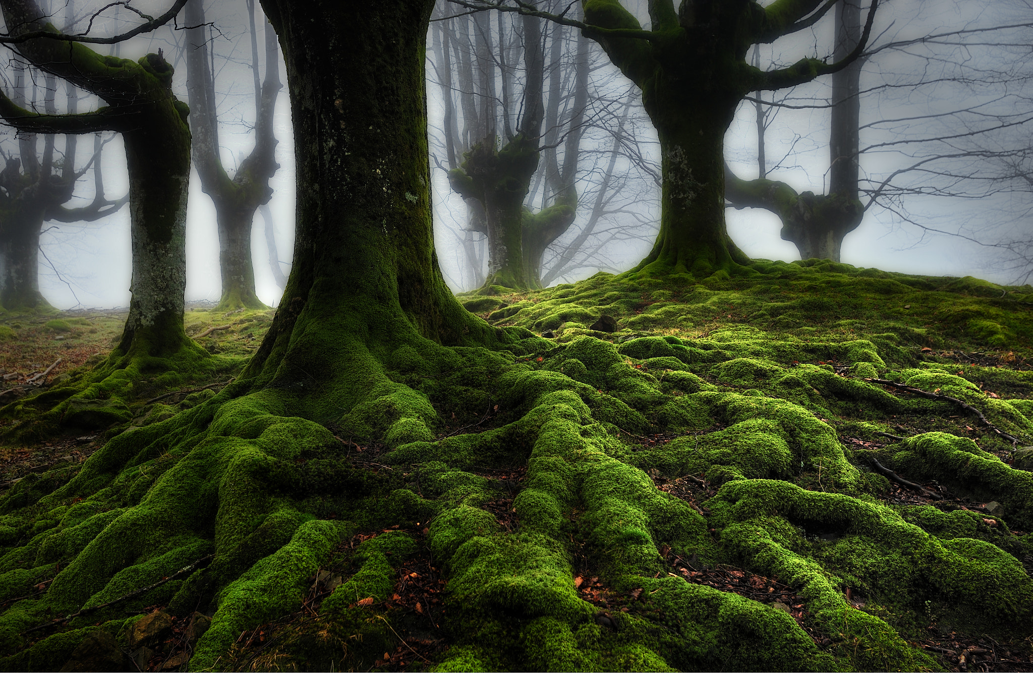 Gorbea by jose lobe / 500px