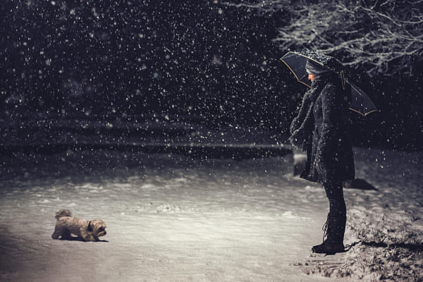 Snowy night by Dejan Stanic / 500px