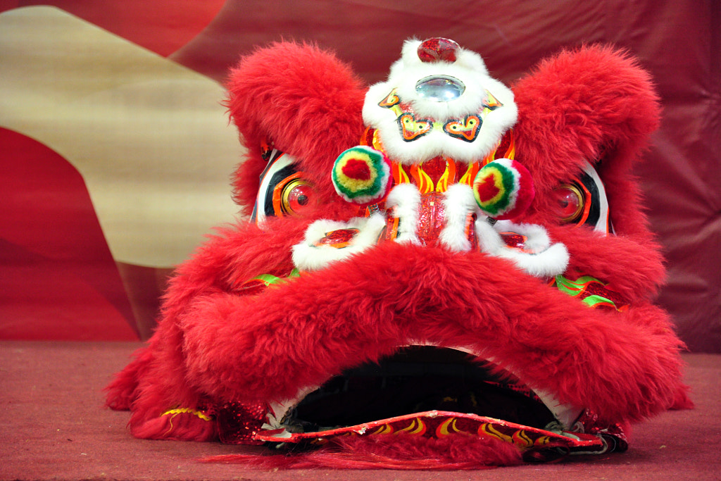 lion head by eng chye toh / 500px