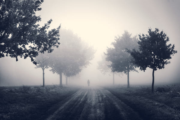 silent morning 01 by Max Ziegler | 500px