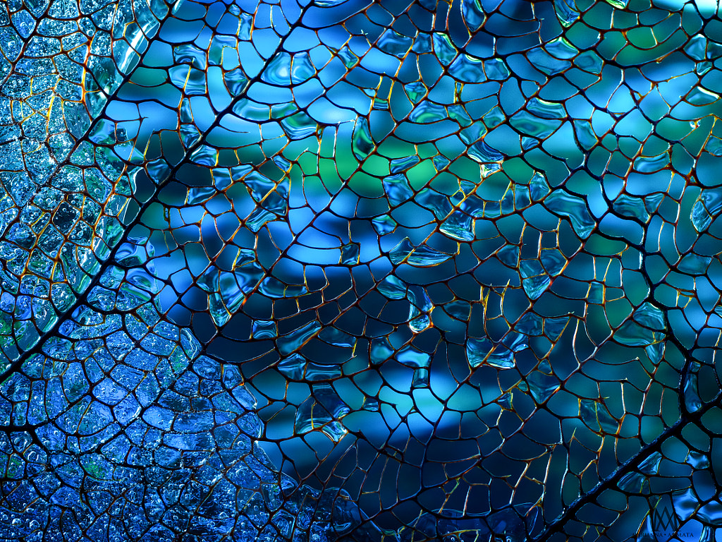 A guide to creating abstract photography that sells - EditionsPhotoArt