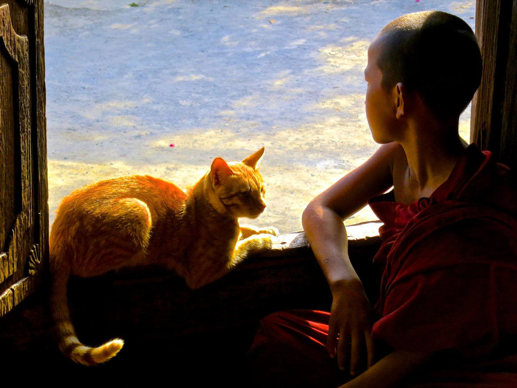 Child monk and cat by Bernard Feder / 500px