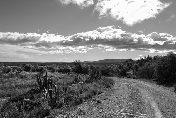 Day 34 The windy path by David Jiménez | 500px