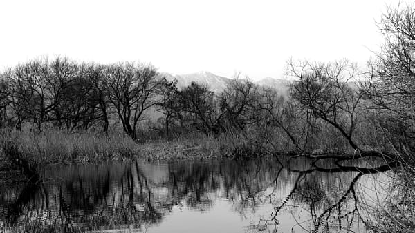 Secret by Tsutomu Hashimoto | 500px