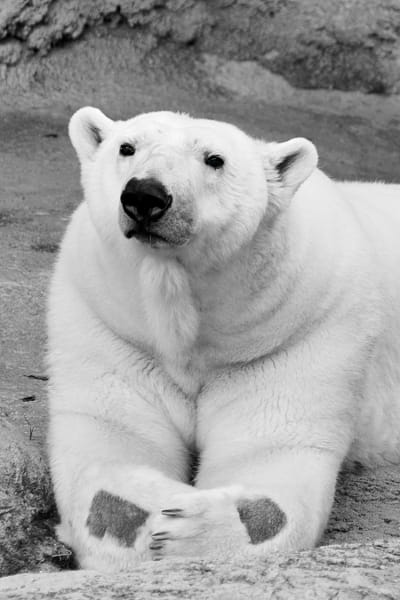 no Coca-Cola here by Susan Petry / 500px