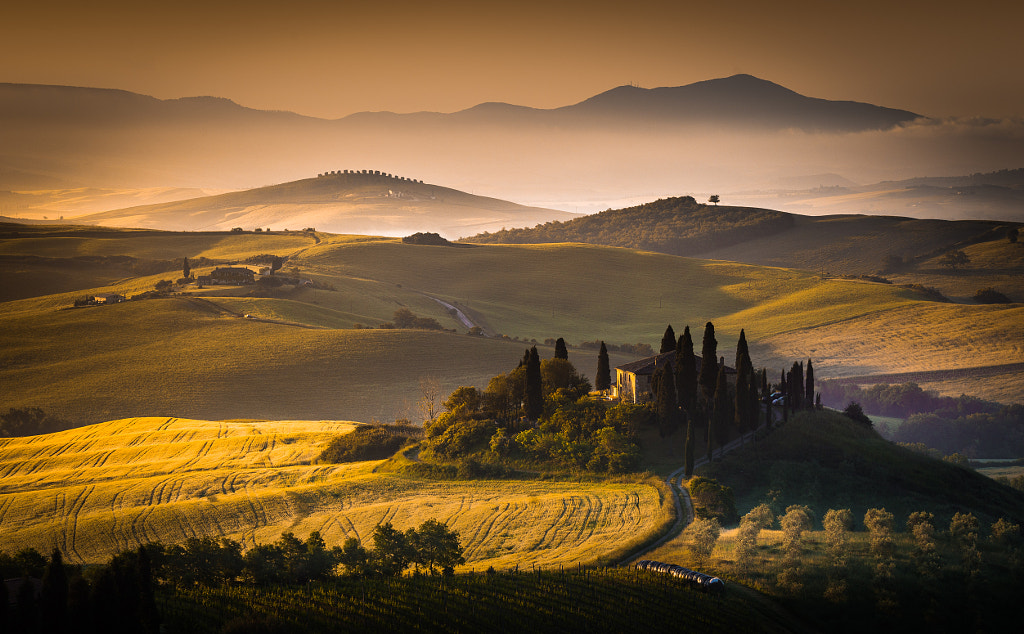 The golden light by Stefano Termanini / 500px