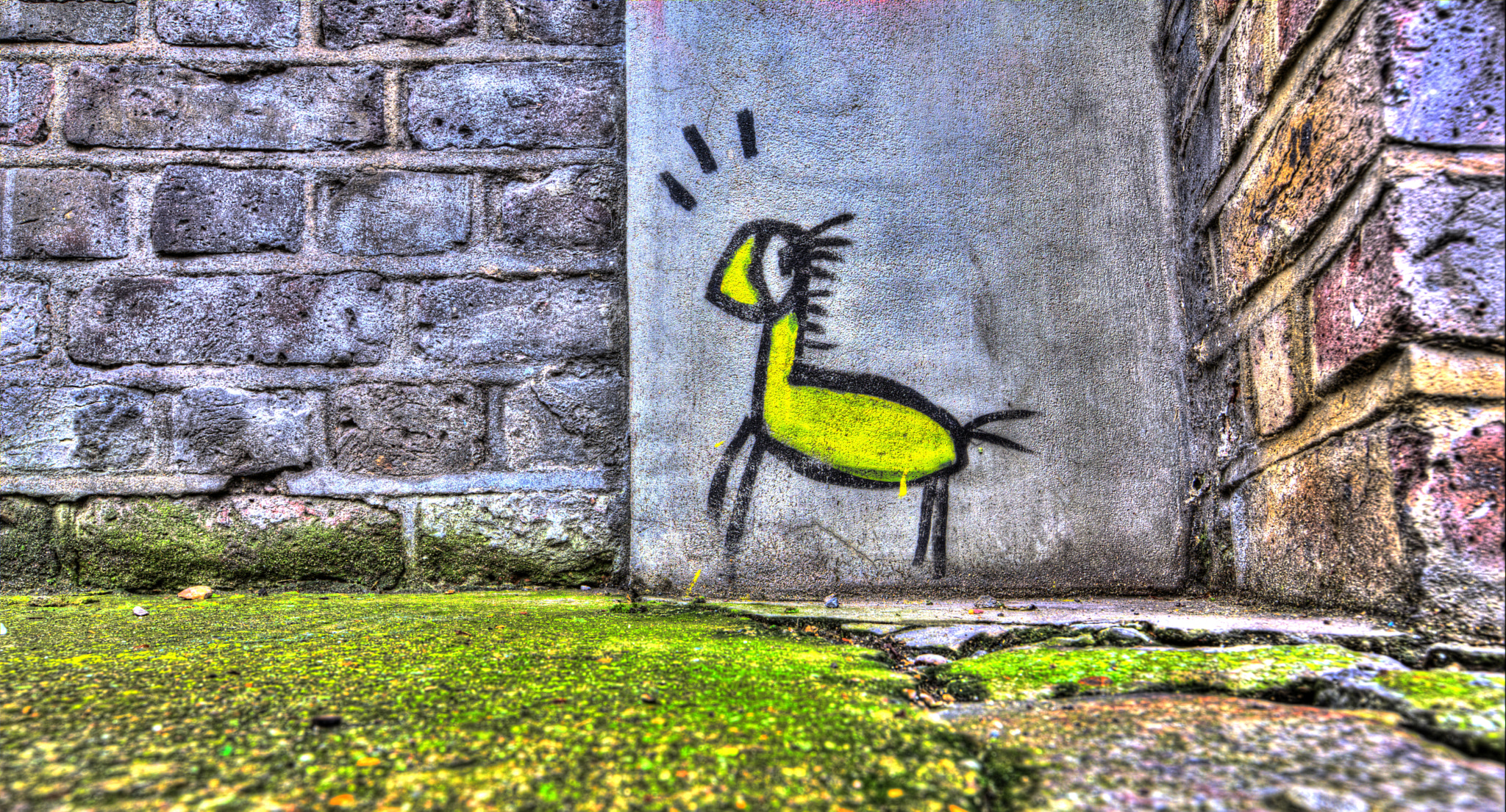 Small Graffiti by David Foreman / 500px