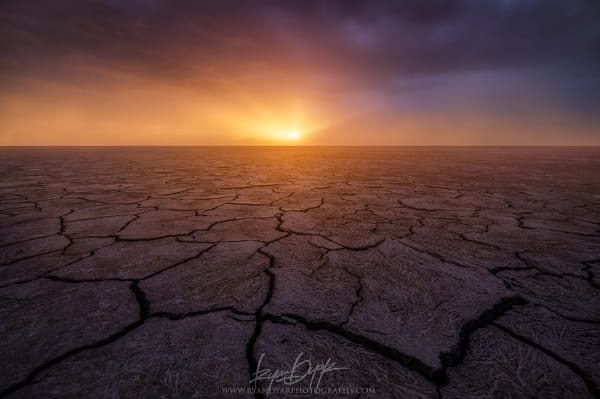 White-necked Jacobins by Juan Bahamon | 500px
