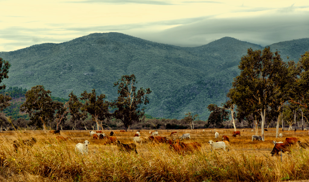 Vision of Local Mind by Joshua Horrocks / 500px